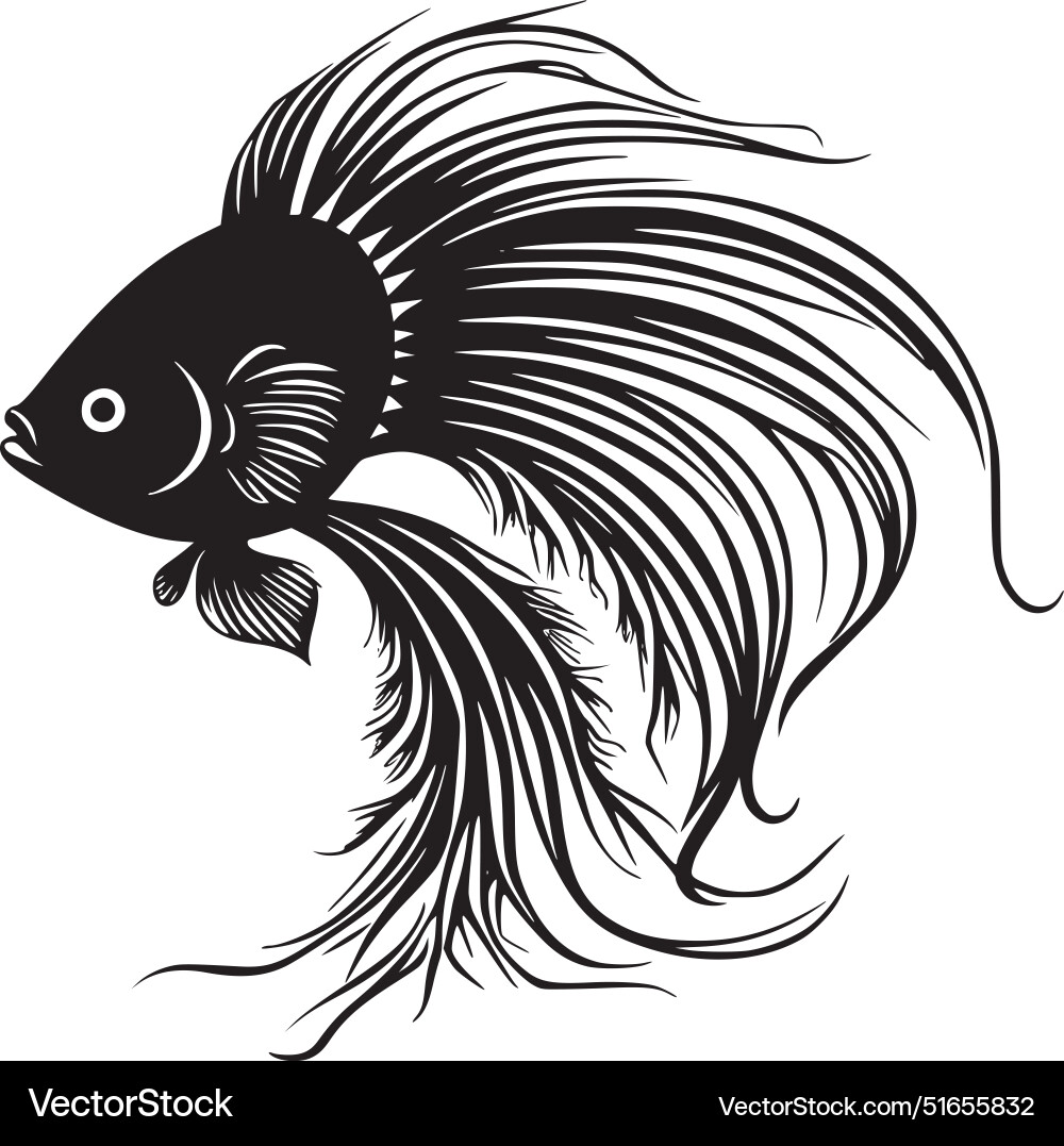 Betta fish - black and white Royalty Free Vector Image