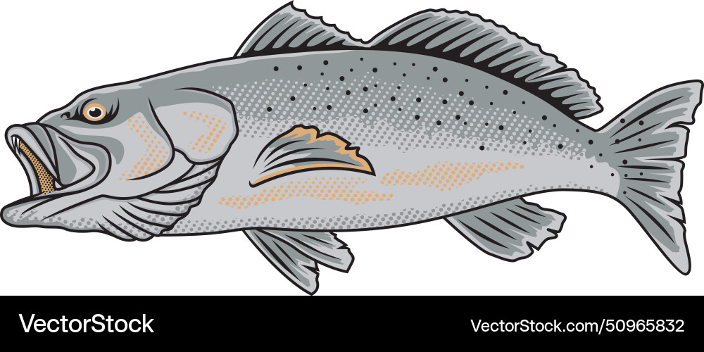 Speckled trout fishing logo Royalty Free Vector Image