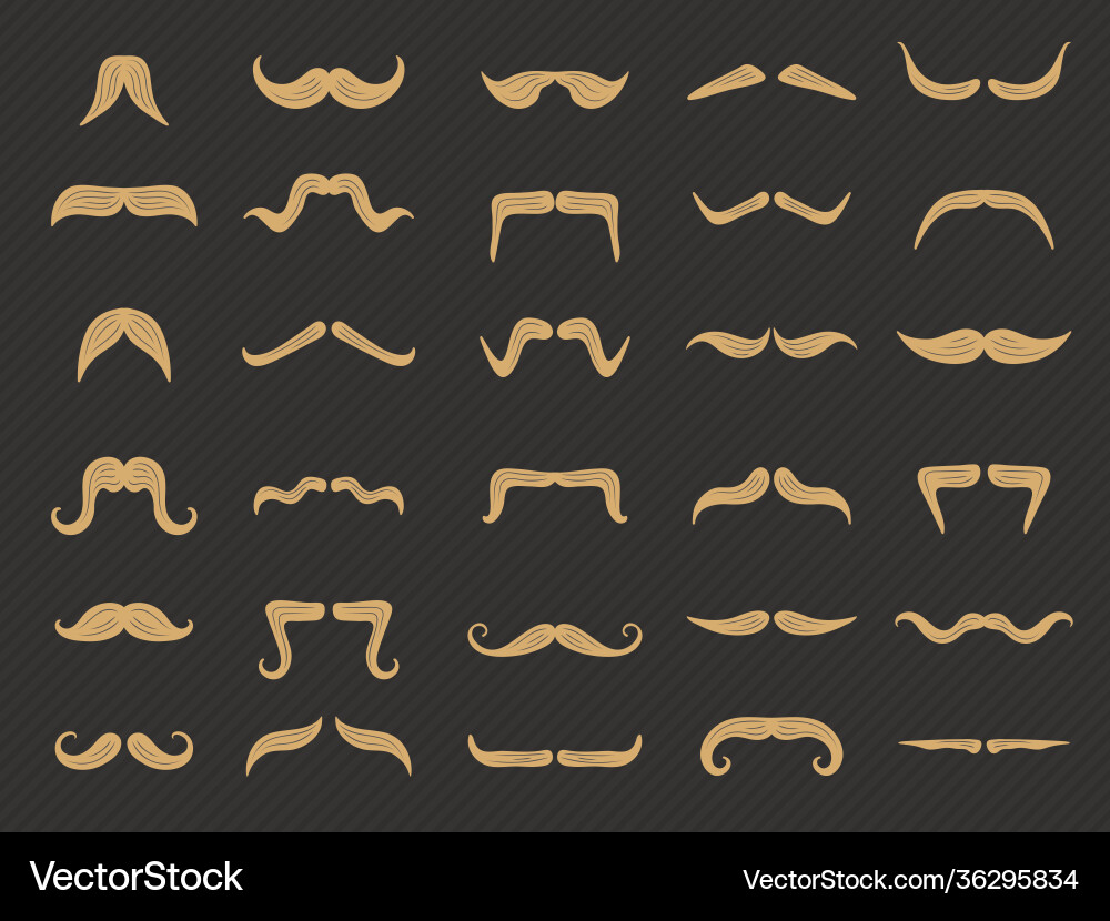 Moustache collection shaved gentlemen set Vector Image