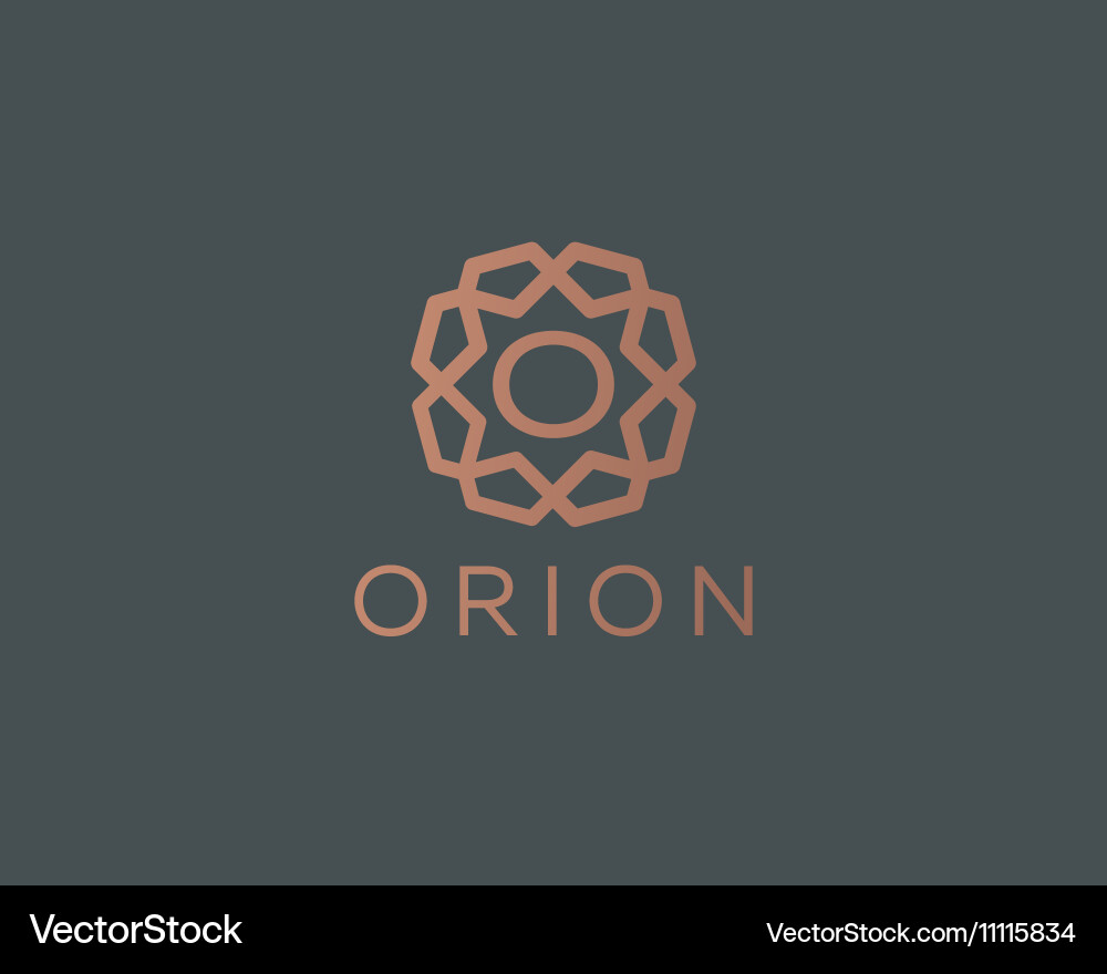 Premium letter o logo icon design luxury Vector Image