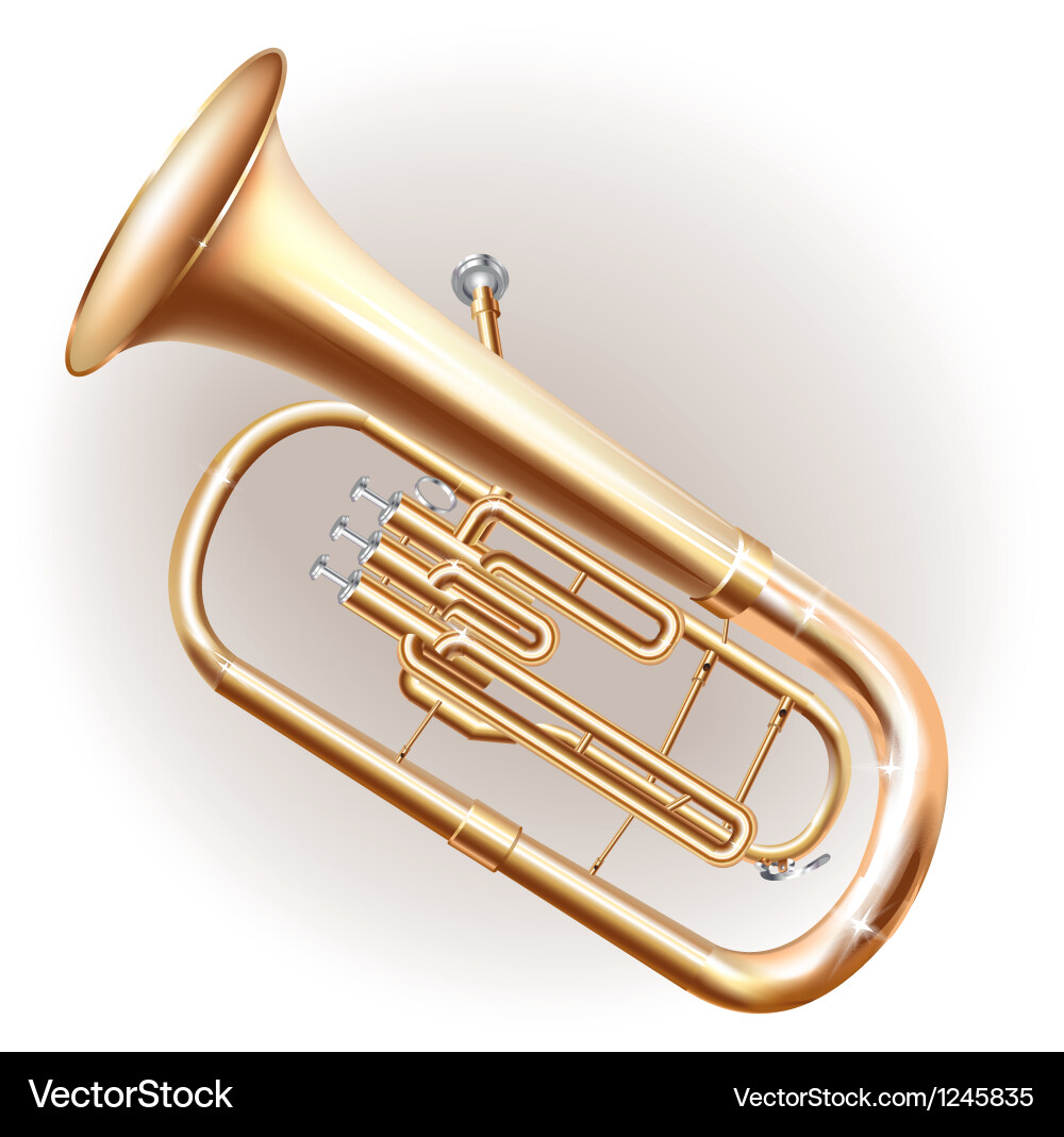 Brass Instrument Collection Royalty Free Vector Image