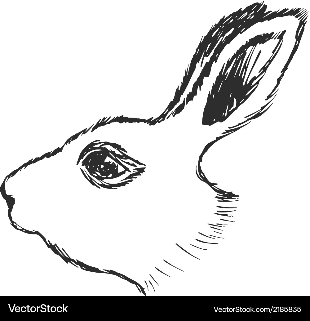 Rabbit Royalty Free Vector Image - VectorStock