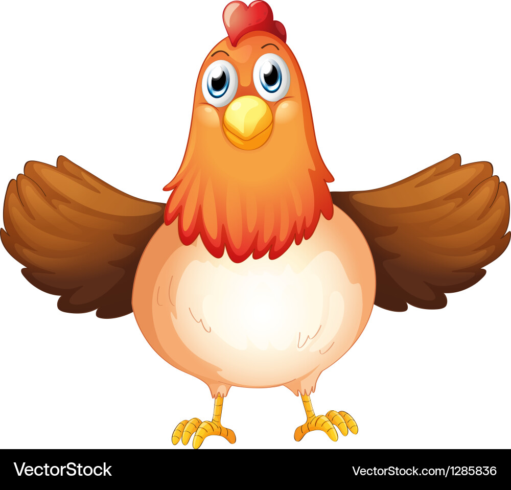 A fat mother hen Royalty Free Vector Image - VectorStock