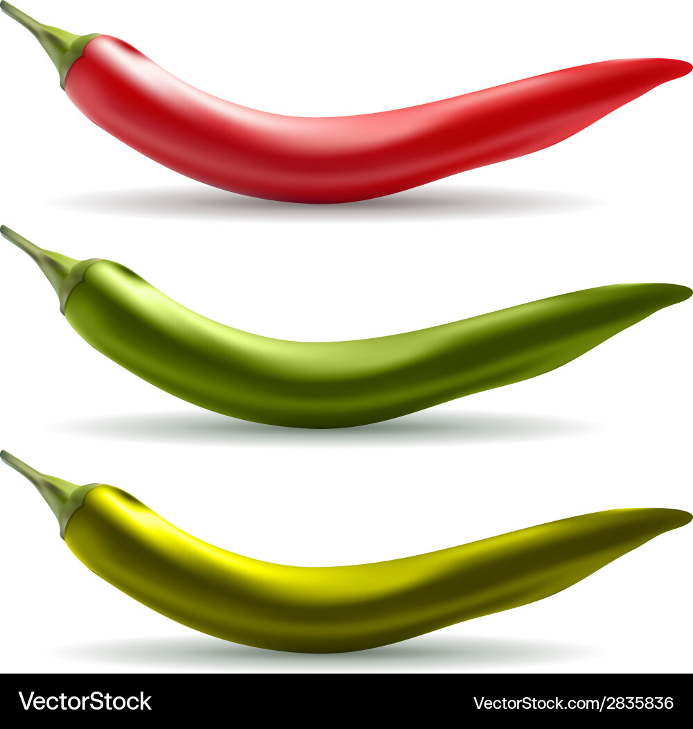 Chili pepper Royalty Free Vector Image - VectorStock