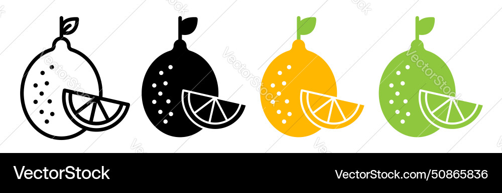 Citrus fruit icon set orange Royalty Free Vector Image