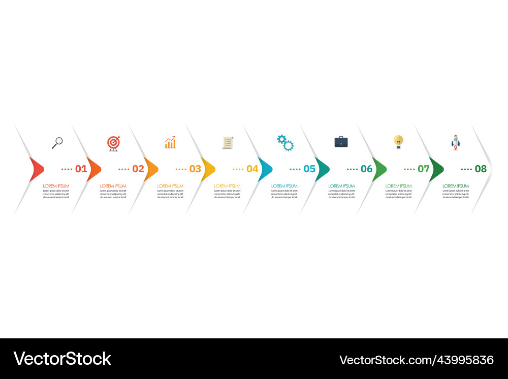 Eight steps template infographic Royalty Free Vector Image