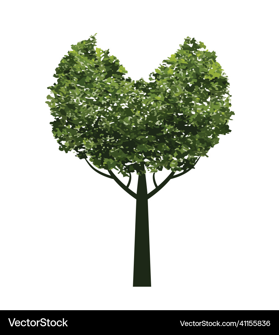 Green tree with outline Royalty Free Vector Image