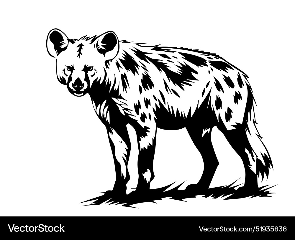 Hyena logo icon with piercing stare Royalty Free Vector