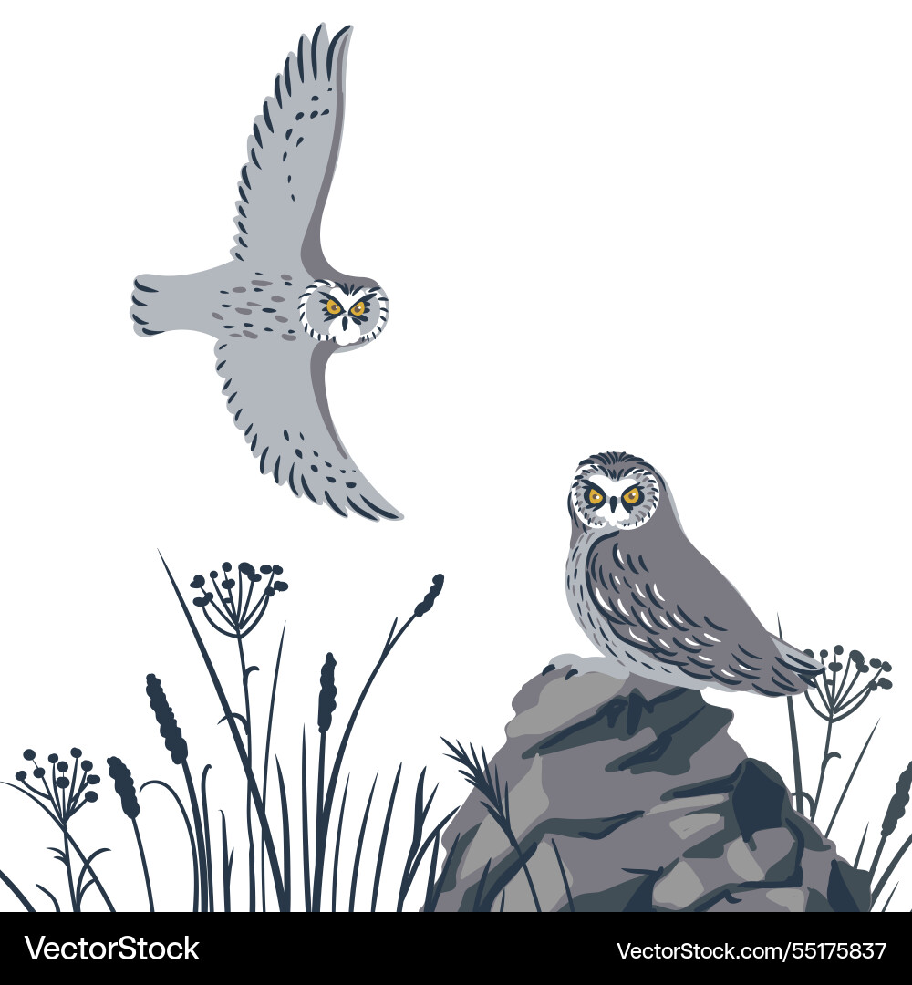 Drawing birdsgreat horned owl Royalty Free Vector Image