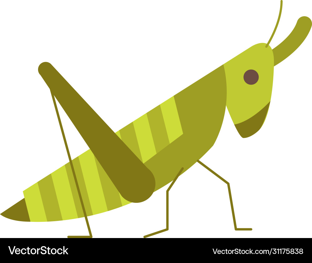Grasshopper Royalty Free Vector Image - VectorStock