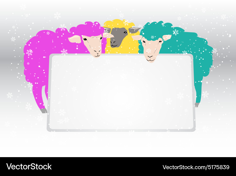 Banner with sheeps Royalty Free Vector Image - VectorStock