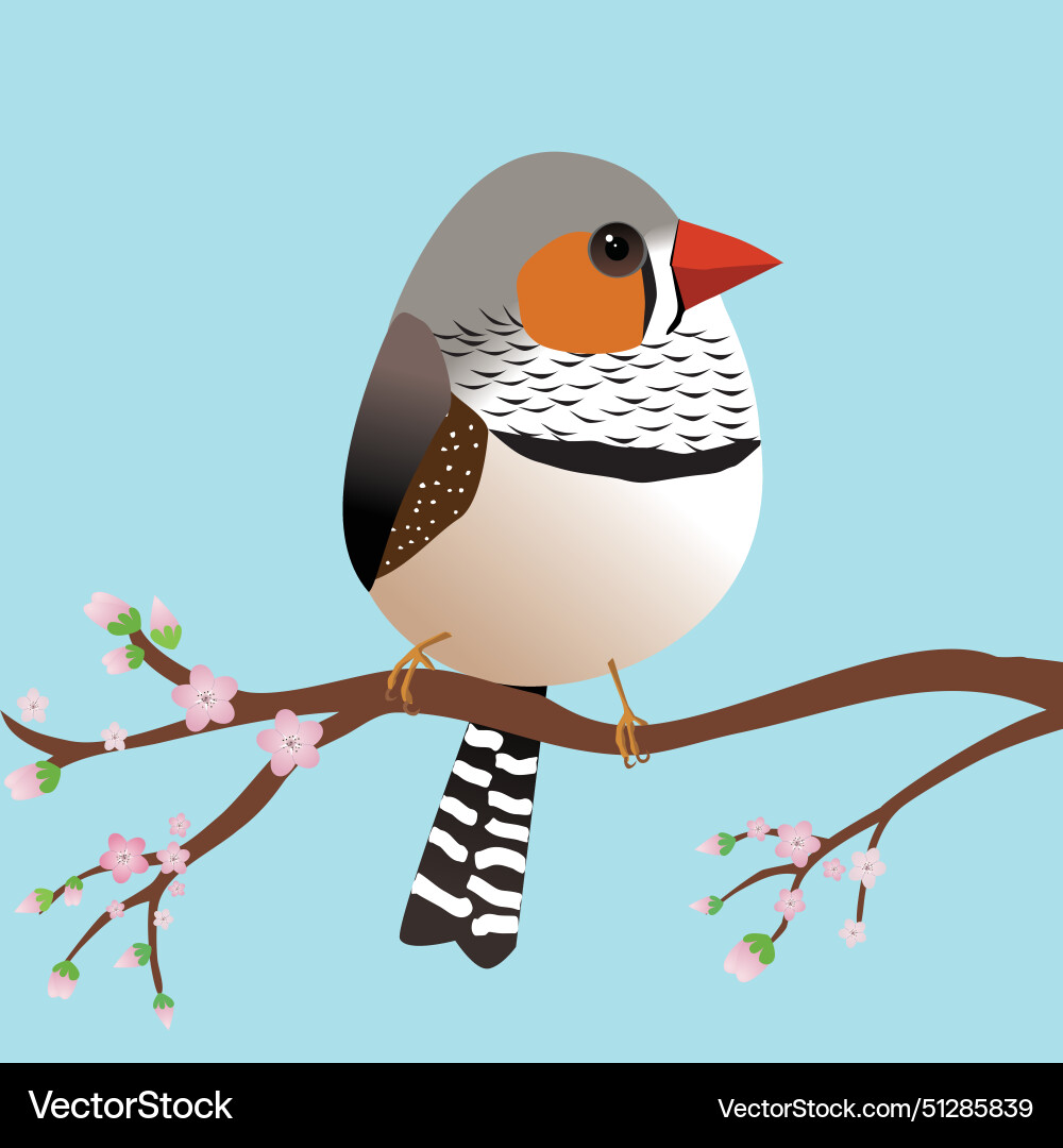 Cute egg shaped red zebra finch Royalty Free Vector Image