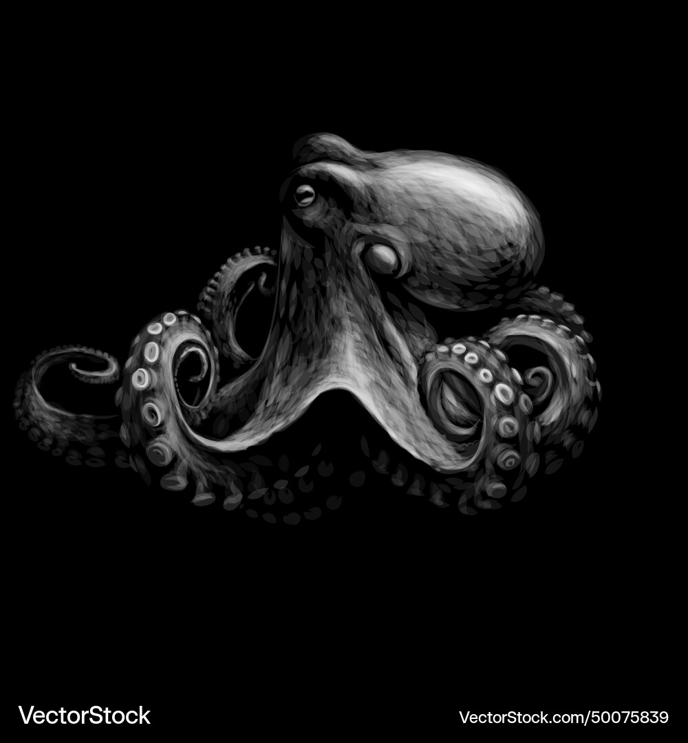 Octopus monochrome graphic portrait Royalty Free Vector