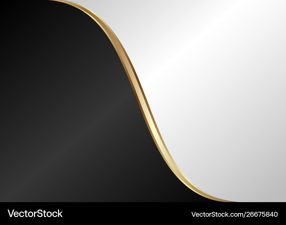 Black and white abstract background divided Vector Image