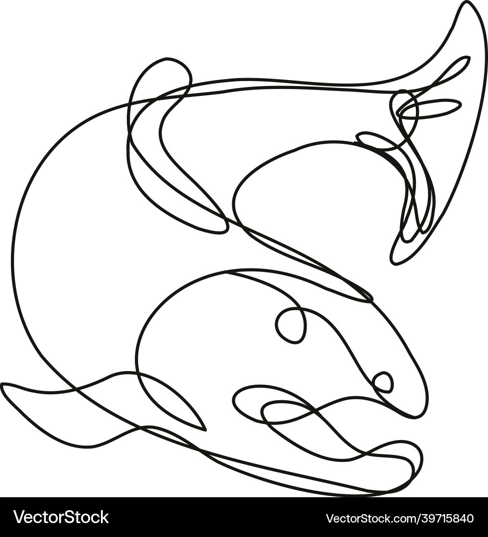 Lake Trout Continuous Line Art Royalty Free Vector Image