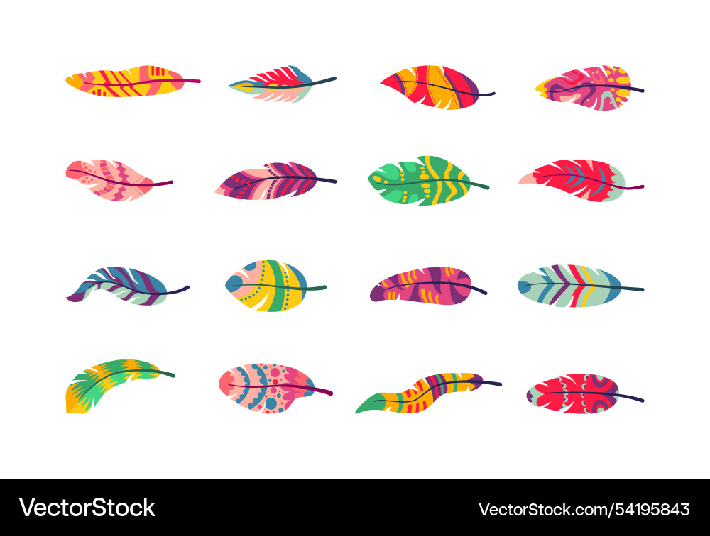 Decorative feathers clipart bird feather vibrant Vector Image