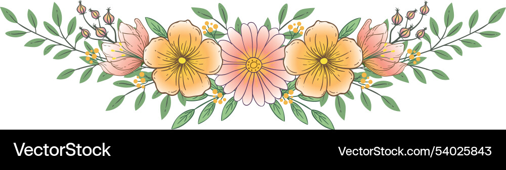 Floral divider colorful flower Royalty Free Vector Image