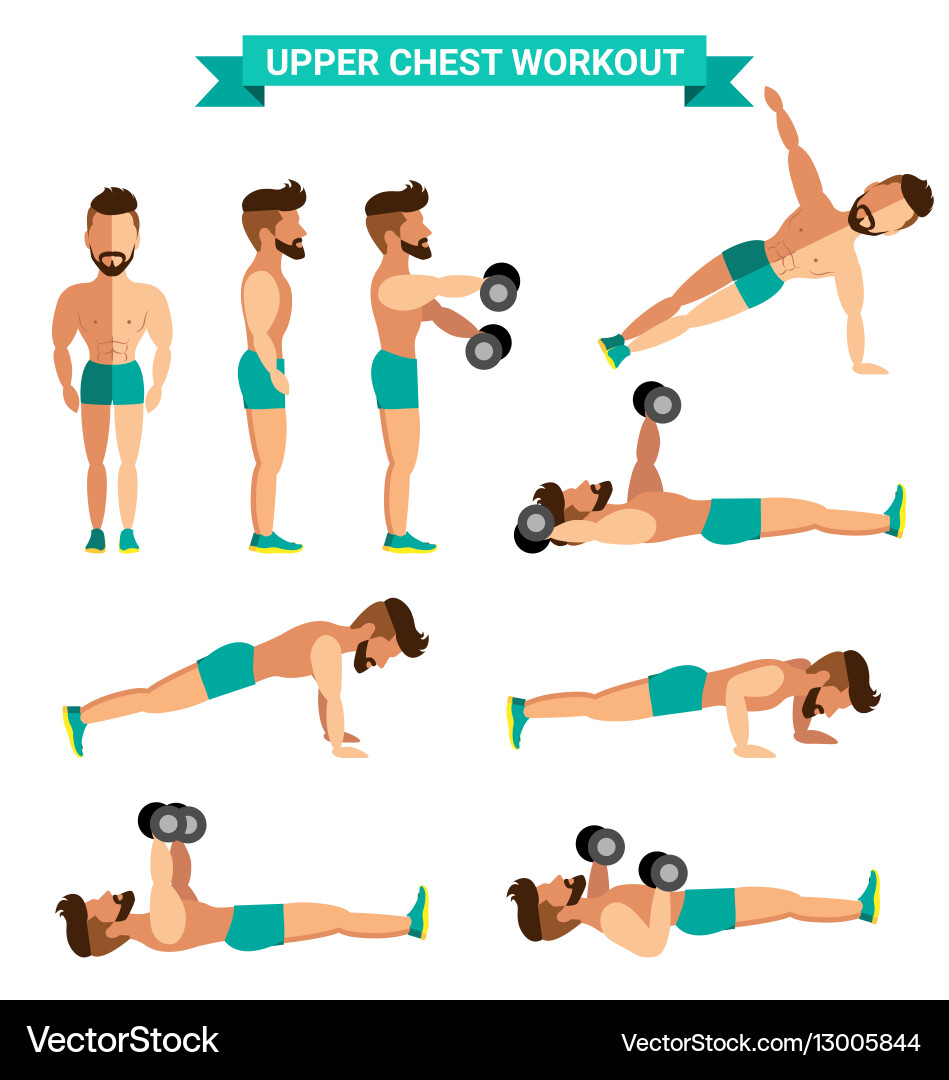 Best upper chest workout for men exereise Vector Image