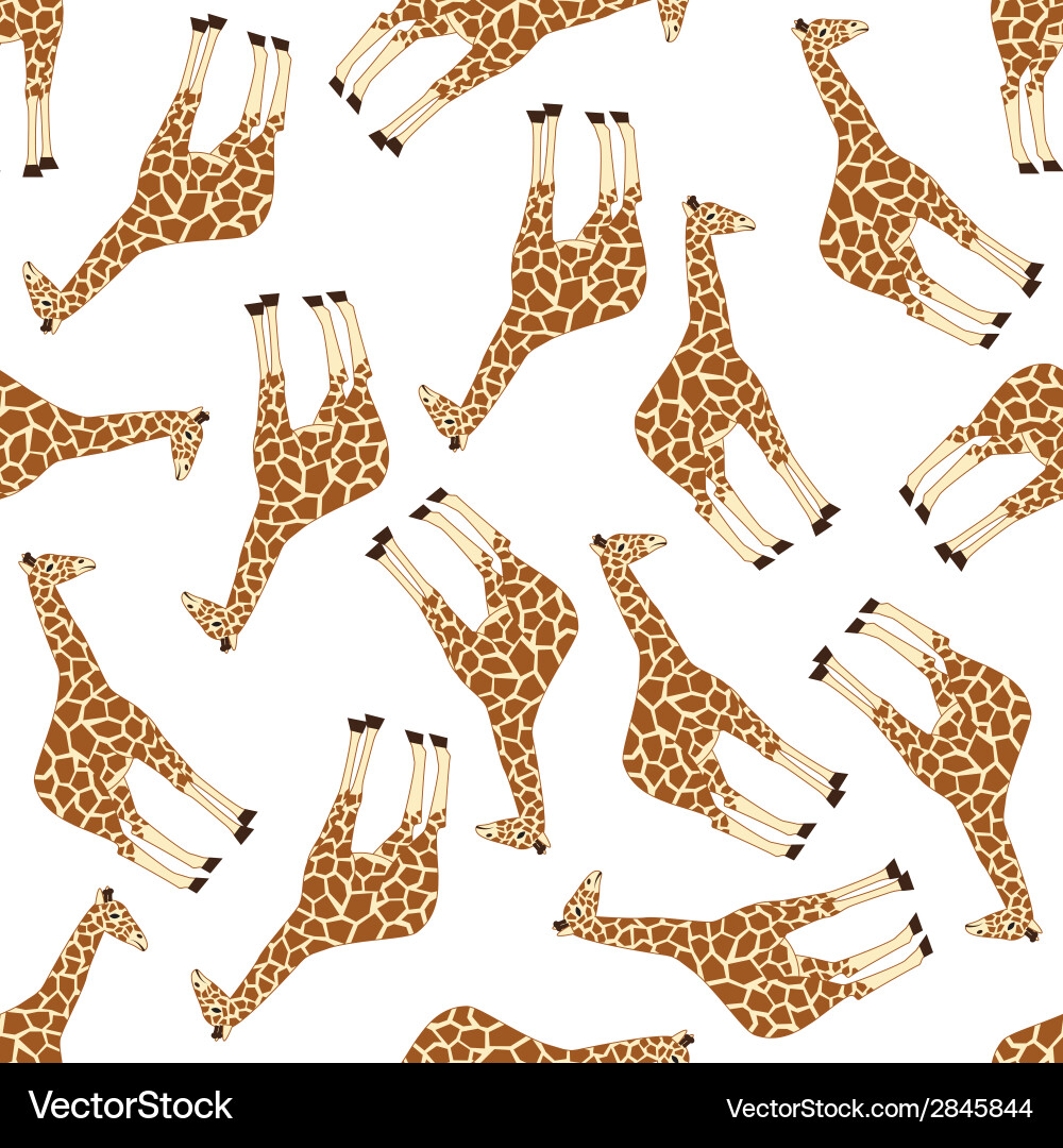 Seamless giraffe pattern Royalty Free Vector Image