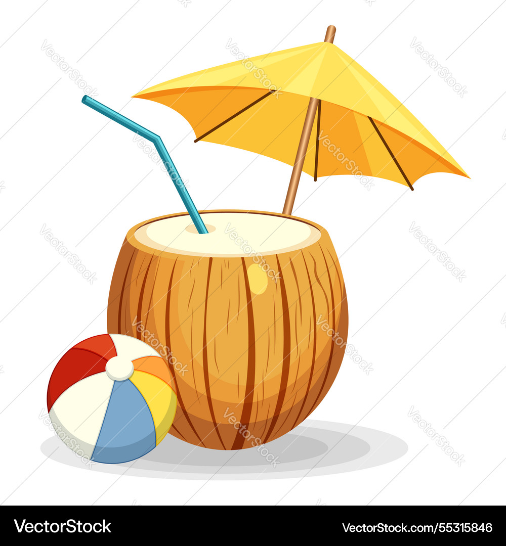 Coconut Royalty Free Vector Image - VectorStock
