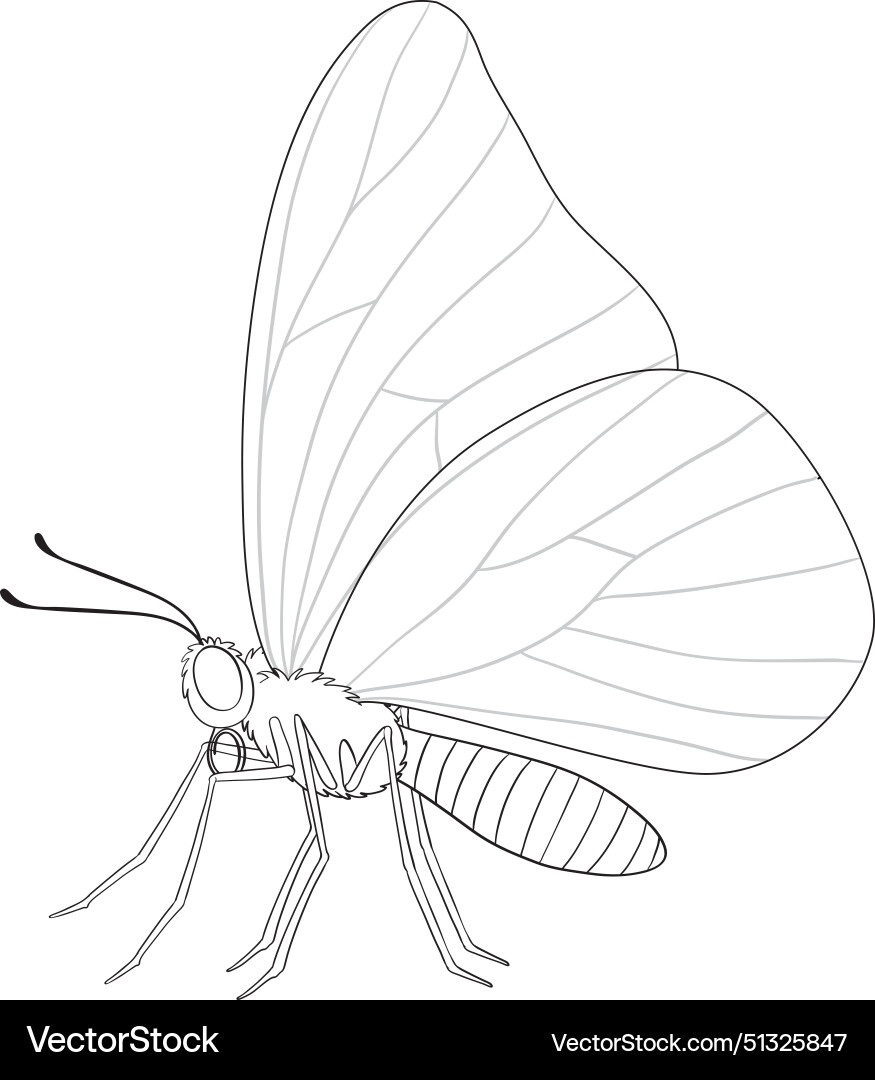 Simple drawing of a butterfly in flight Royalty Free Vector