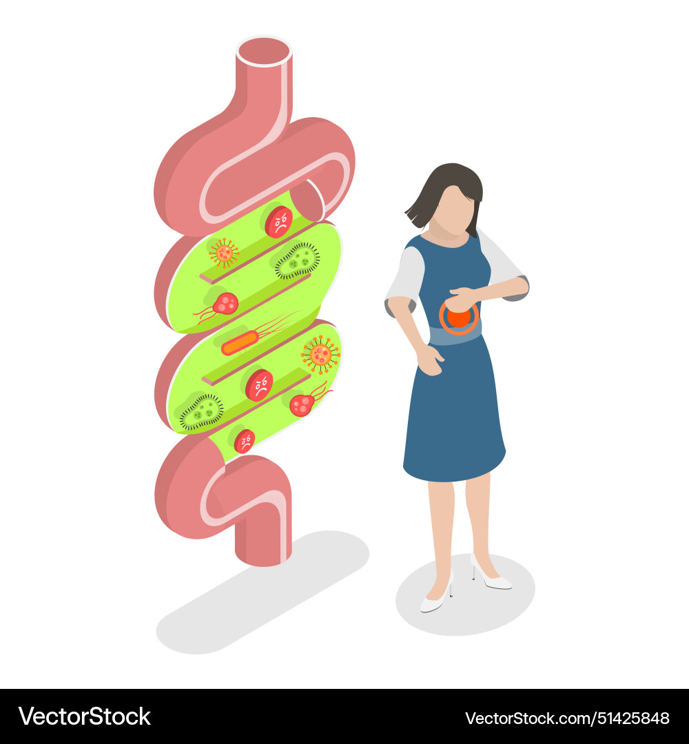 3d isometric flat of good and bad gut Royalty Free Vector