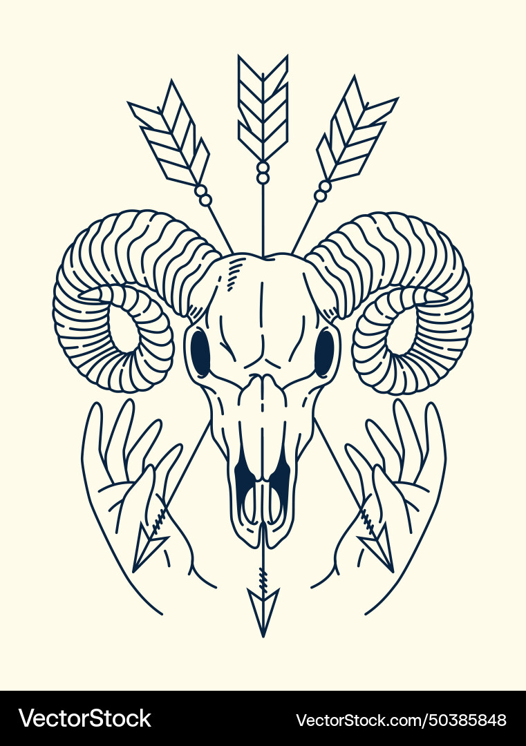 Sheep skull line art Royalty Free Vector Image