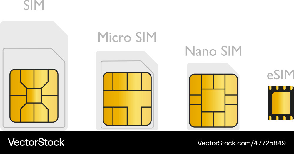 Sim cards Royalty Free Vector Image - VectorStock