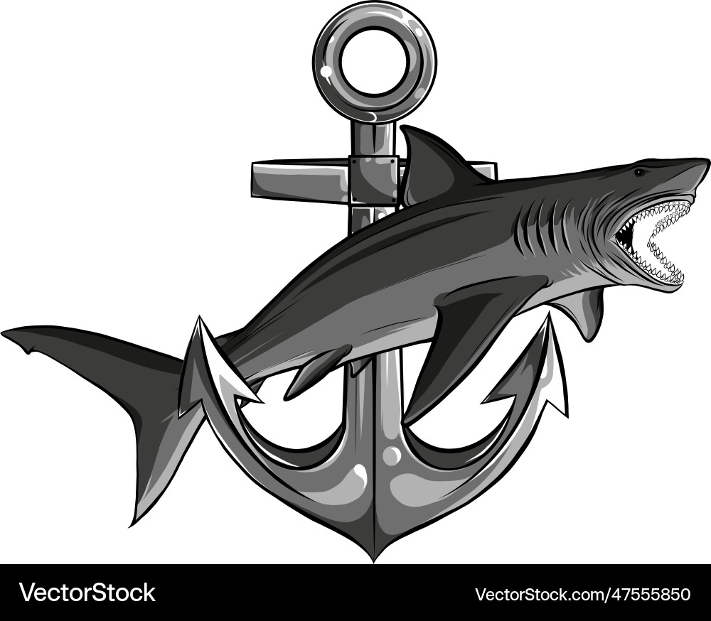Monochrome black white shark with anchor Vector Image