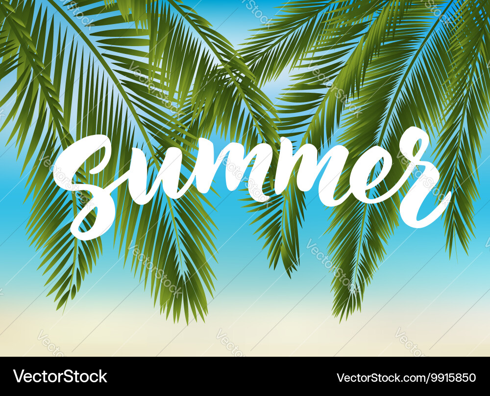 Summer hand drawn brush lettering Royalty Free Vector Image