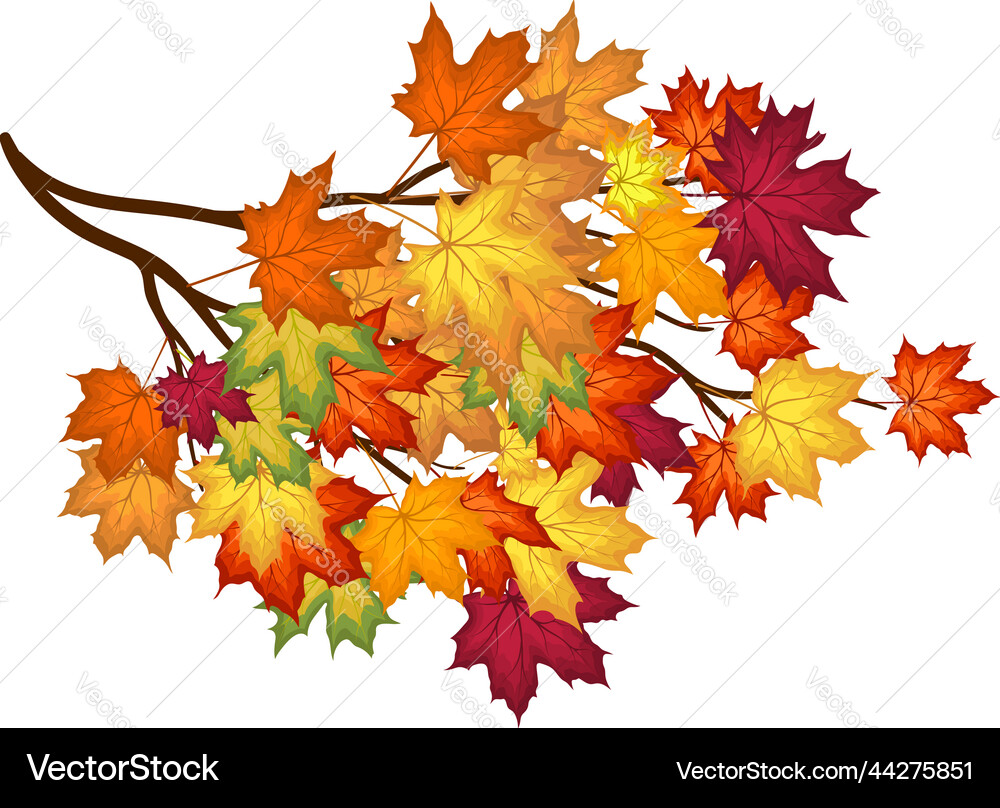 Autumn maple frame Royalty Free Vector Image - VectorStock