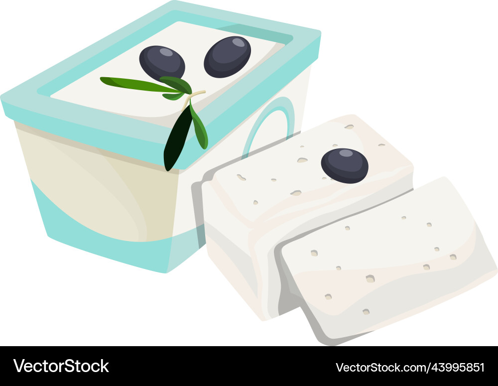 Greek cheese plastic box package cartoon icon Vector Image