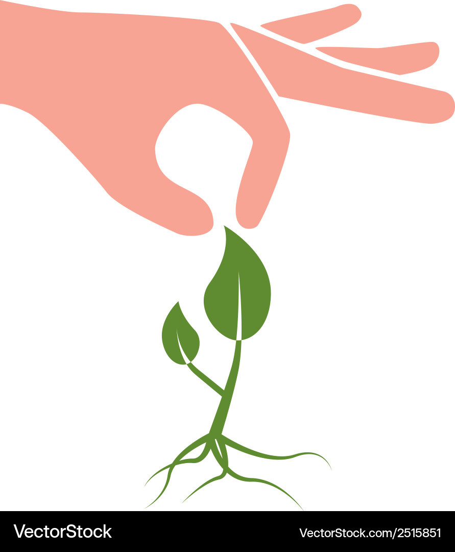 Little plant Royalty Free Vector Image - VectorStock