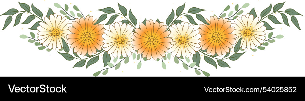 Floral divider colorful flower Royalty Free Vector Image