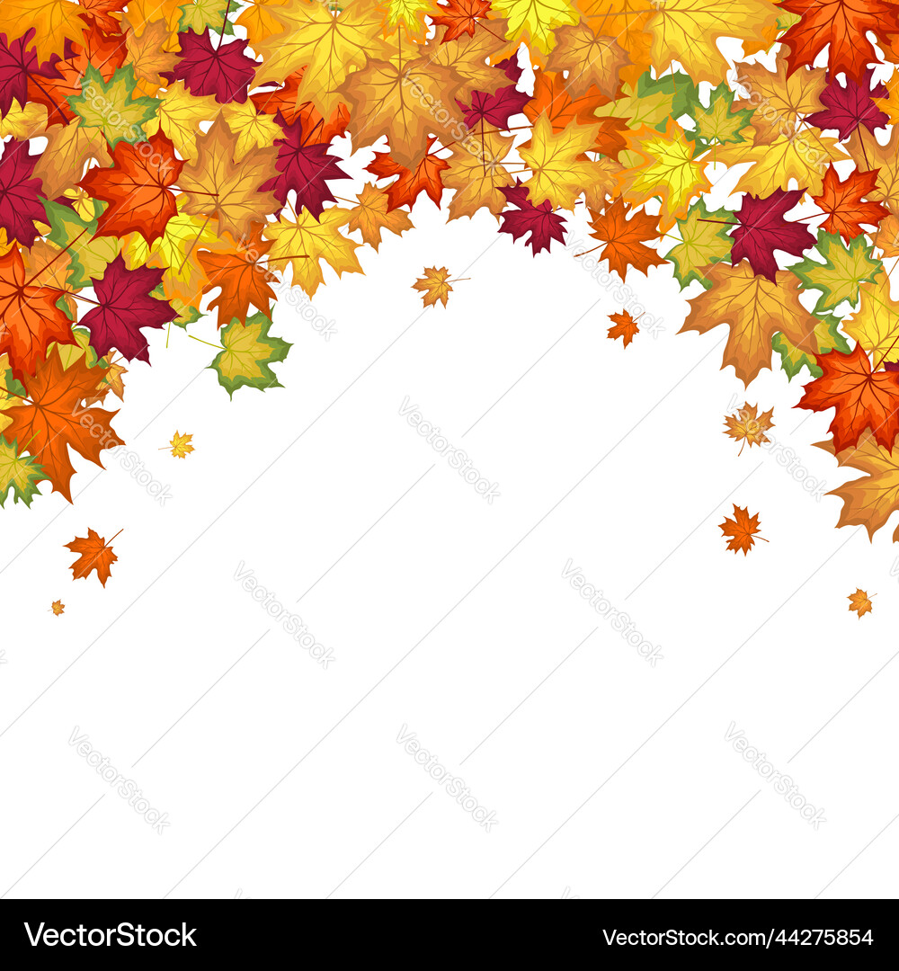 Autumn maple frame Royalty Free Vector Image - VectorStock