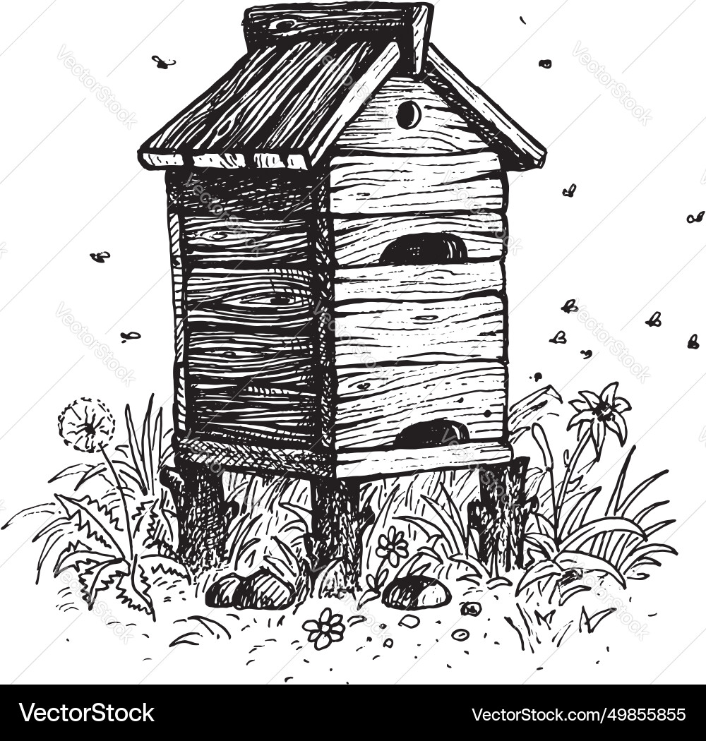 Bee hive drawing a collection of farm Royalty Free Vector