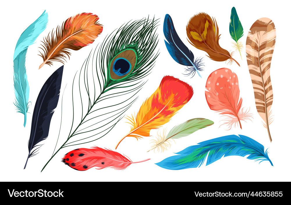 Cartoon isolated bright exotic birds plume Vector Image