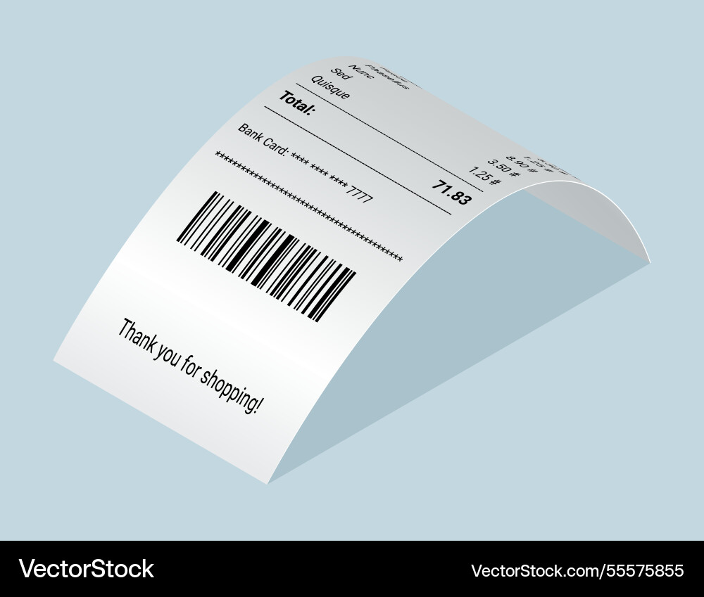 Payment check and receipts with shadow curved Vector Image