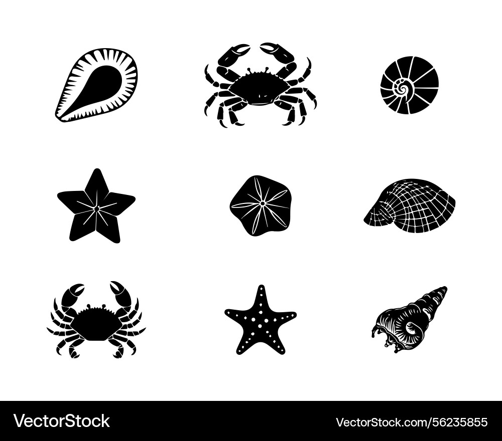 Sea shells and creatures silhouette design set Vector Image