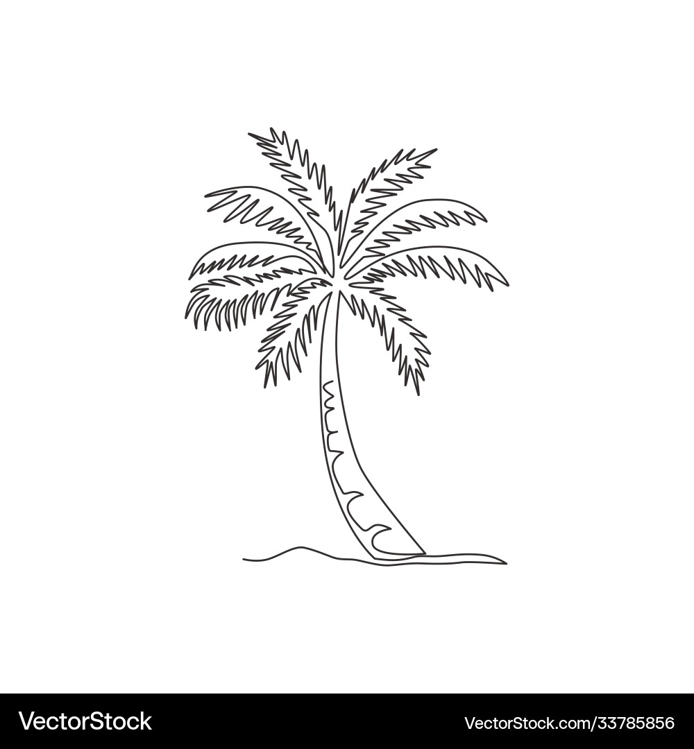Single continuous line drawing coco nucifera Vector Image