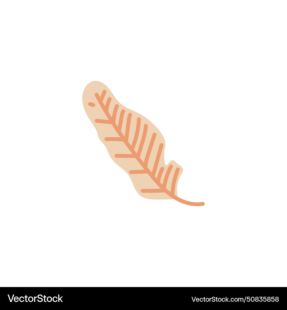 Light feather cartoon fluffy Royalty Free Vector Image