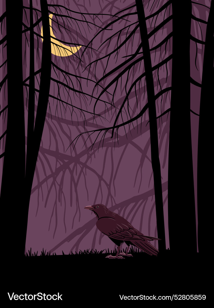 Drawing night forest landscape Royalty Free Vector Image