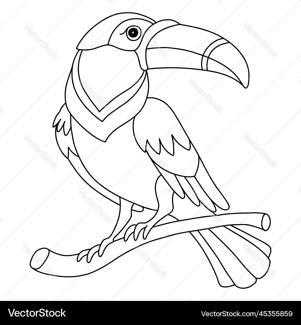 Exotische Toucan Malvorlage Lizenzfreies Vektorbild