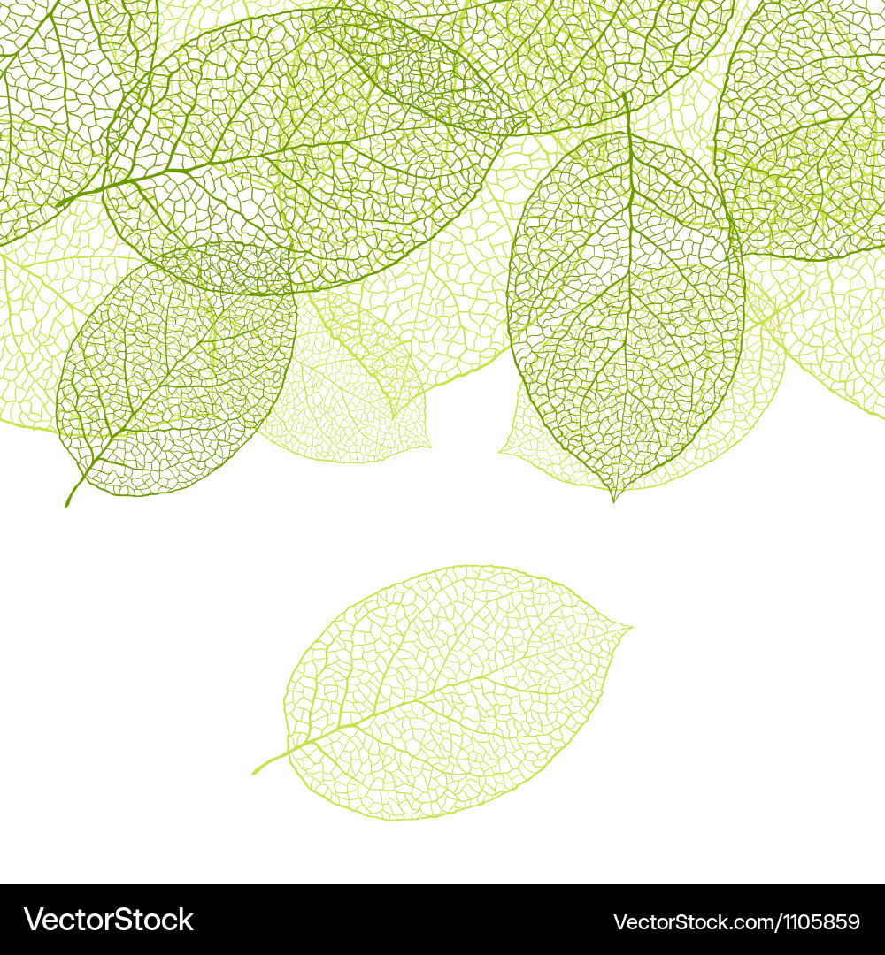 Fresh green leaves background Royalty Free Vector Image