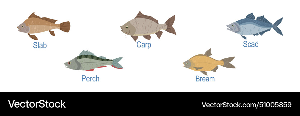 Freshwater fish side view with name inscription Vector Image