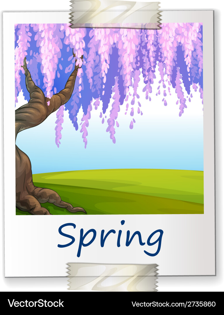 Spring Royalty Free Vector Image - VectorStock