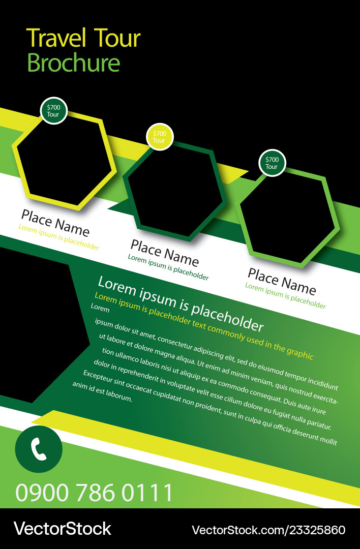 Travel flyer Royalty Free Vector Image - VectorStock