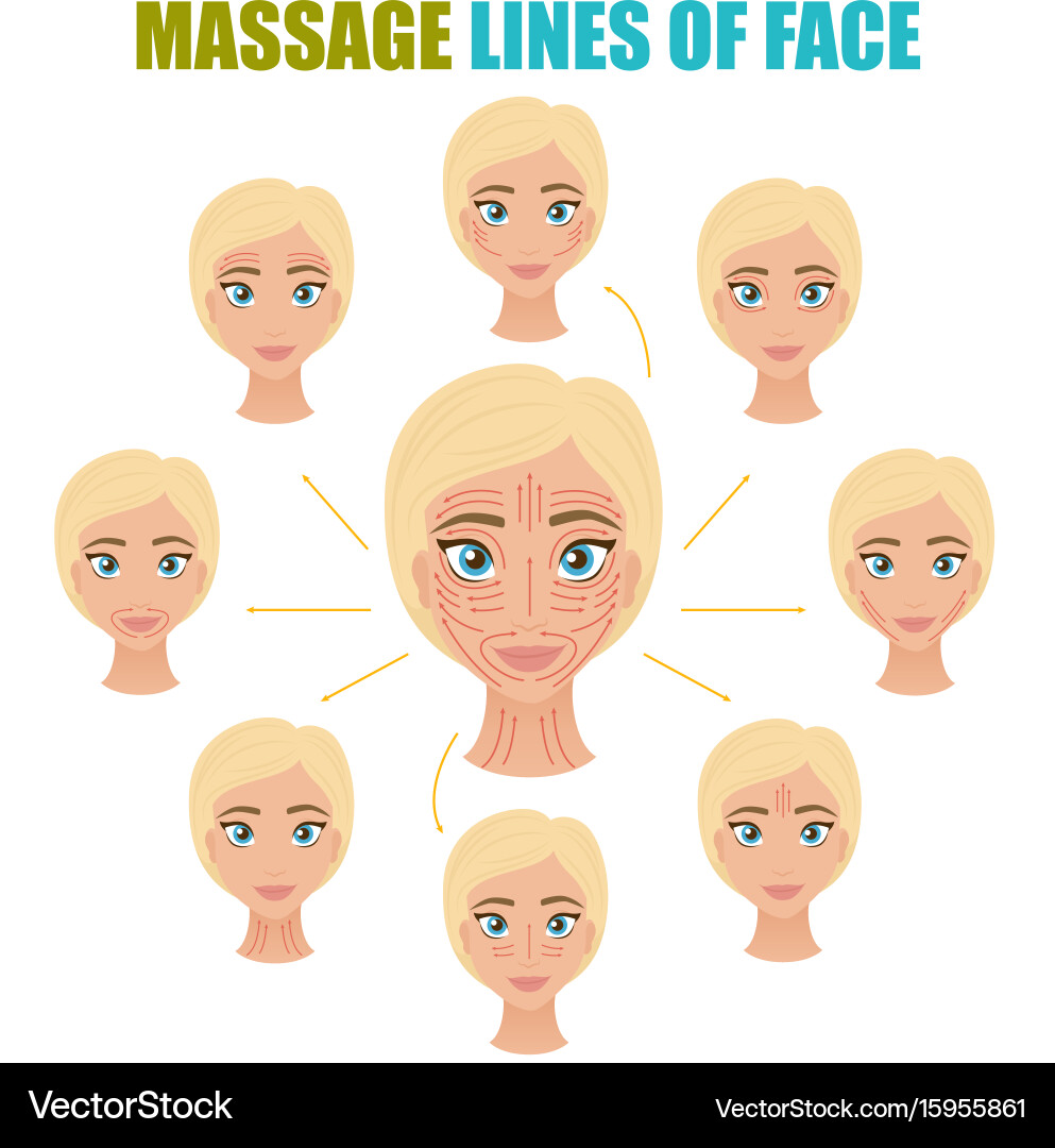 Face Massage Lines - Skin Care Set Royalty Free Vector Image