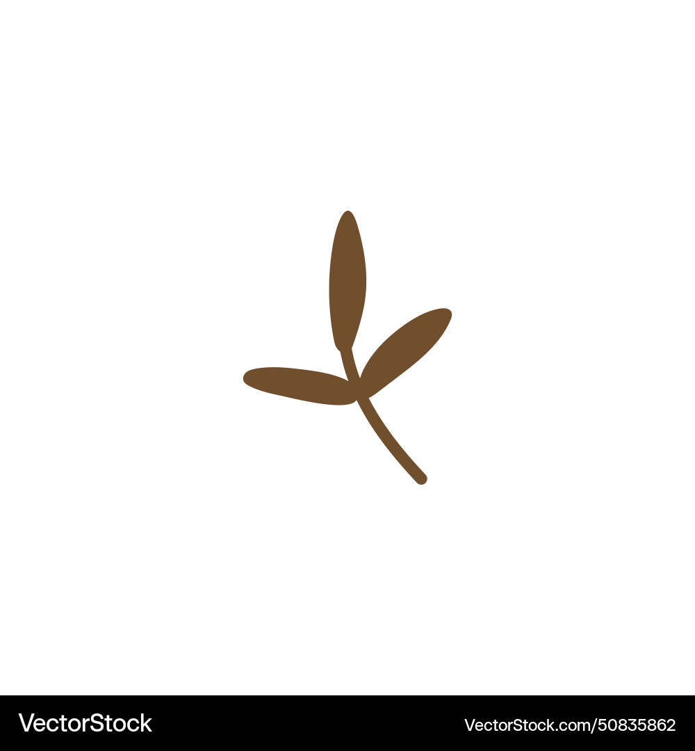 Isolated object of a branch with three leaves Vector Image