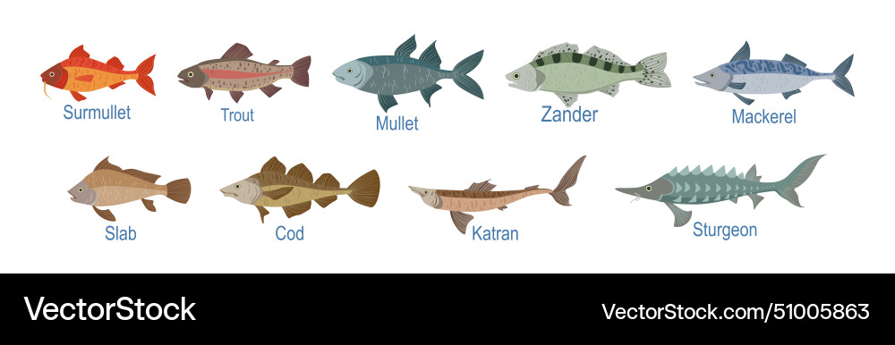 Freshwater fish side view with name inscription Vector Image